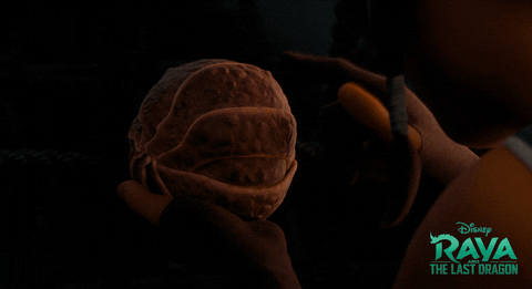 Notes on Raya and the Last Dragon – Princessly Poised